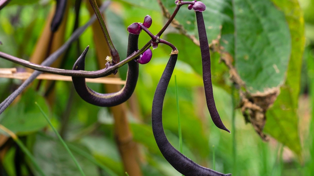 Ripe Deli - Catering & Cafe - Delicious food to takeout or delivered